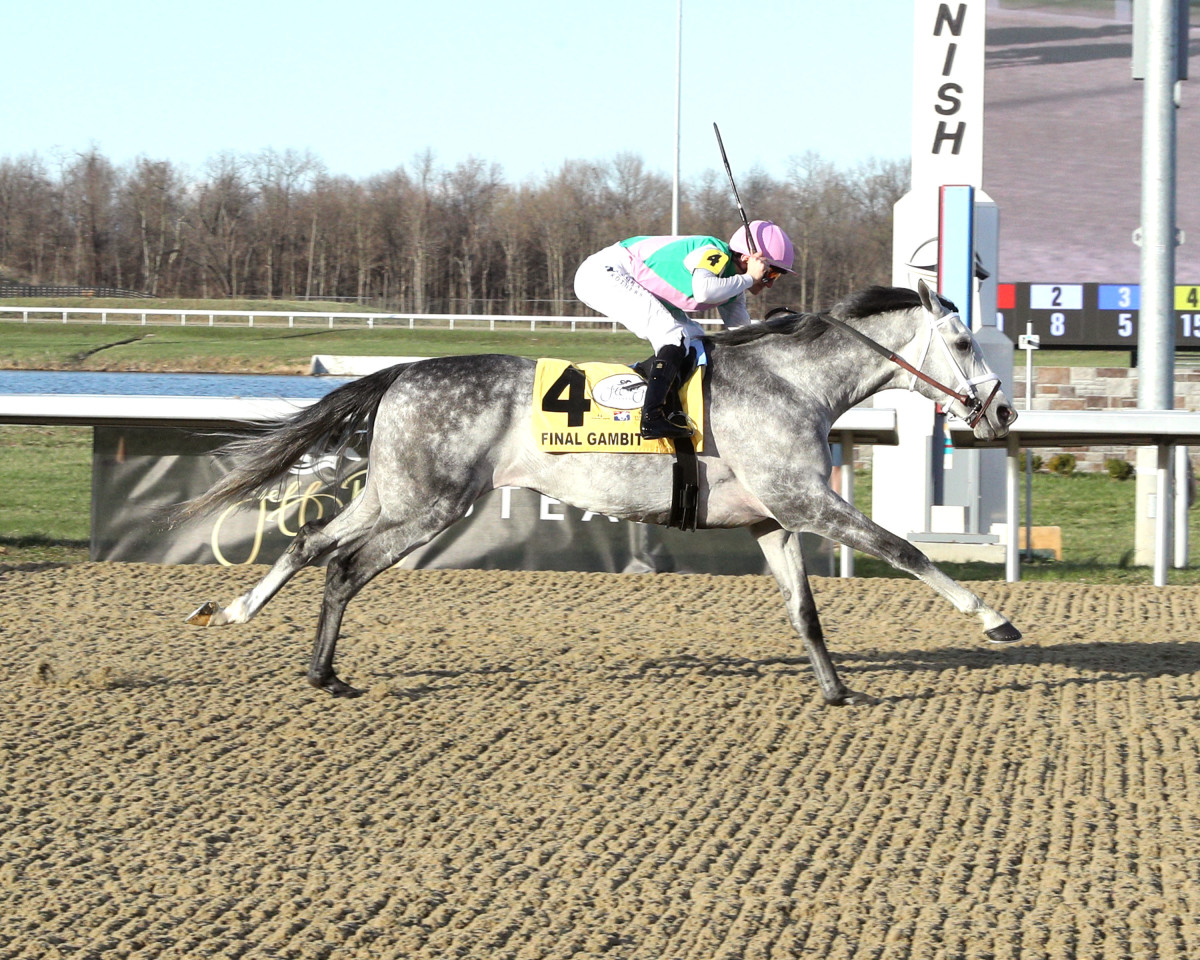 Final Gambit Set For Inaugural Last Hurrah In Turfway Park Return ...