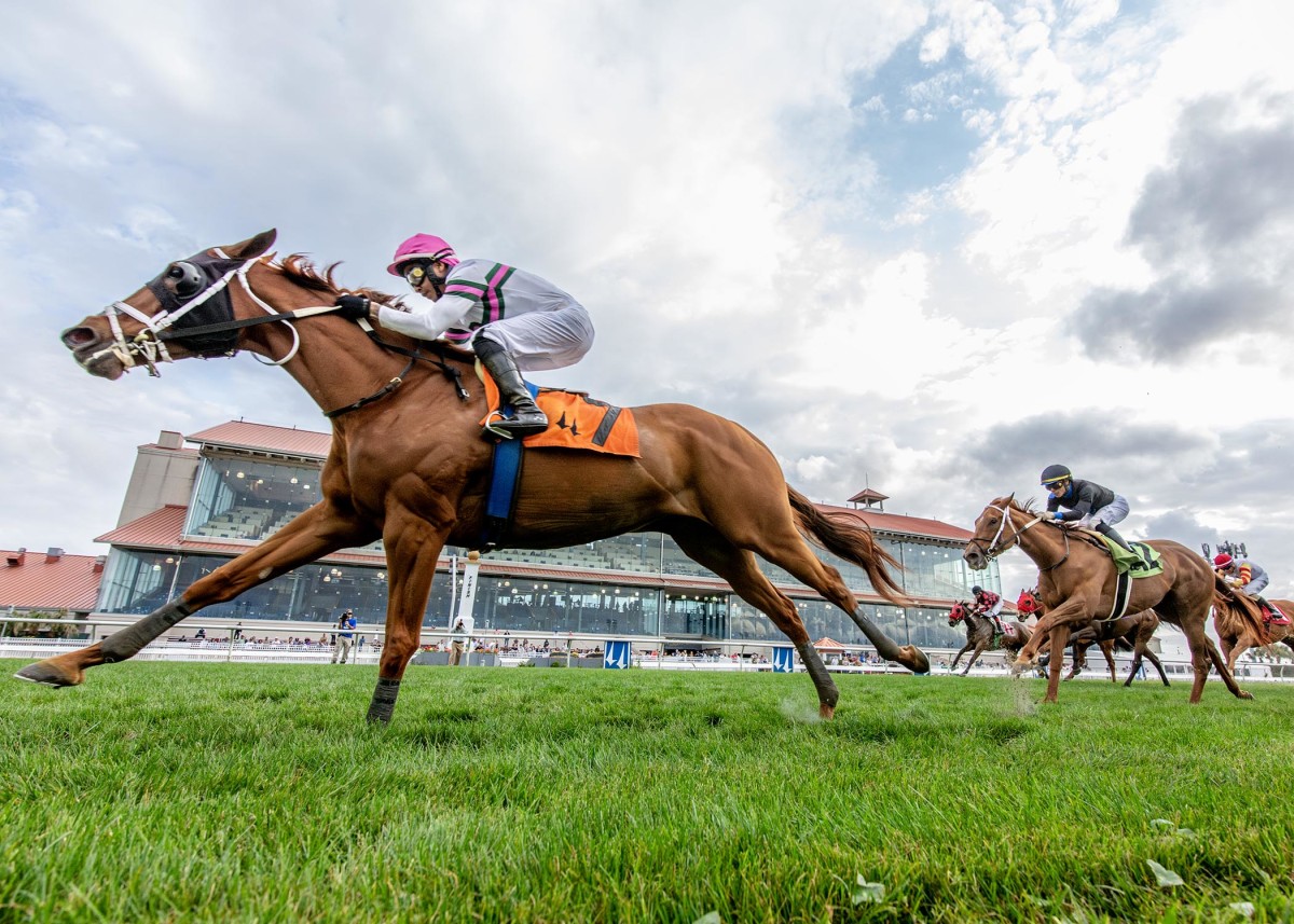 That's A Wrap: Benoit, Rue La La, Liberal Lady Win Stakes On Fair ...