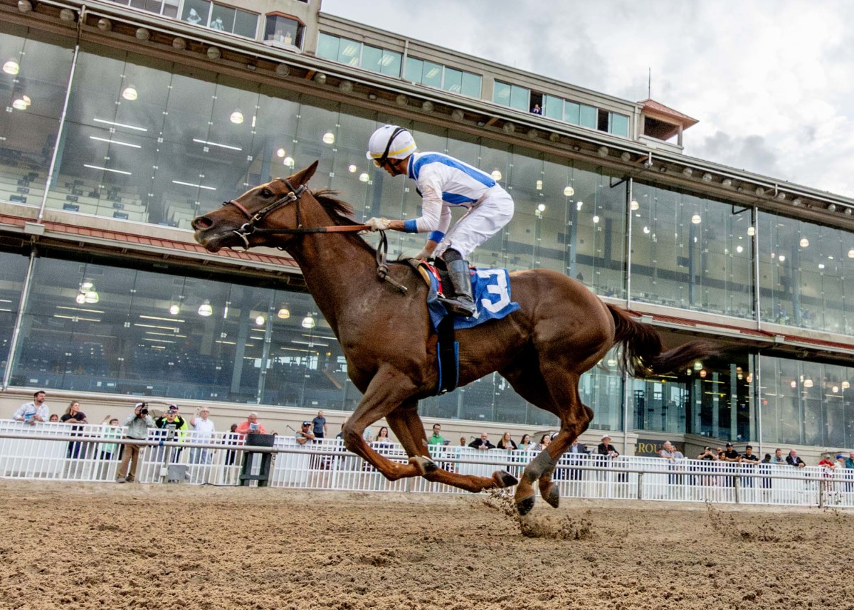 That's A Wrap: Benoit, Rue La La, Liberal Lady Win Stakes On Fair ...