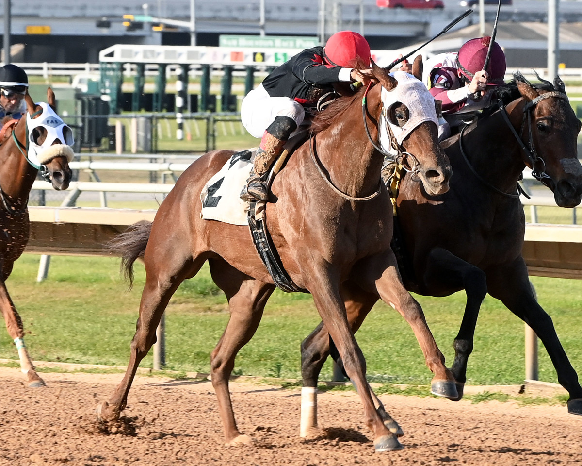 Jolly Samurai Prevails In Battle For TTA Derby - Paulick Report ...