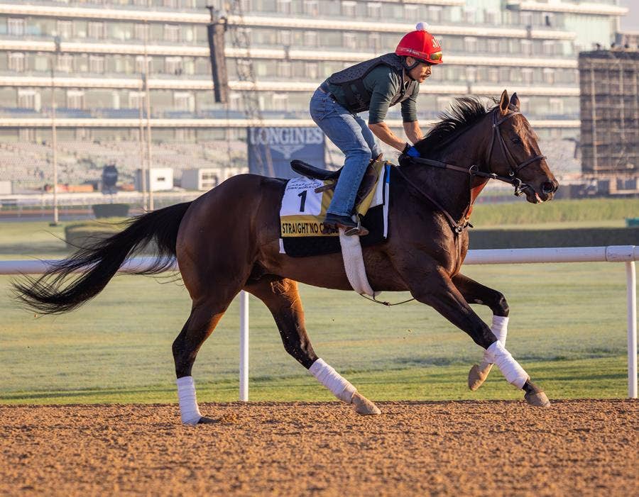 Travel 'No Trouble' For Straight No Chaser Ahead Of Dubai Golden ...