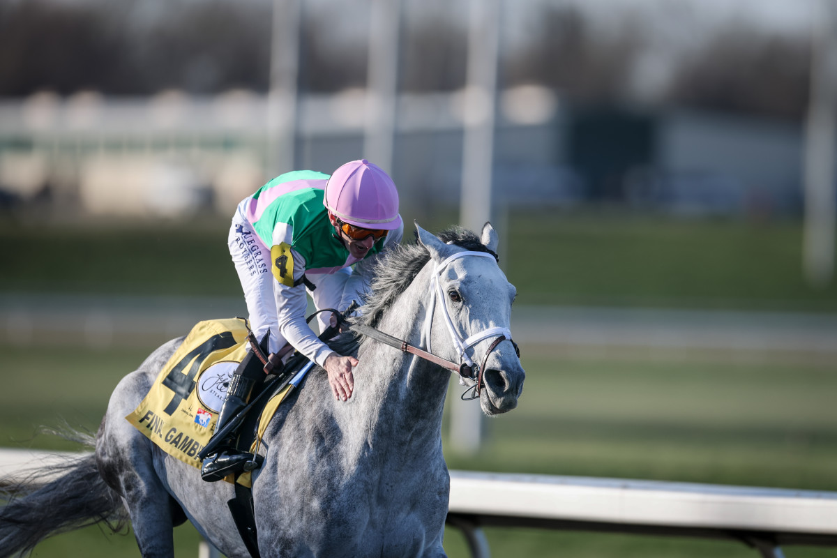 Kentucky Derby Pedigree Corner Presented By Zycosan: Citizen Bull ...