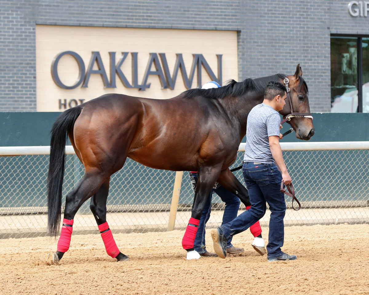 The Derby Bubble Presented By Kentucky-Breds: Sandman, Tappan Street ...
