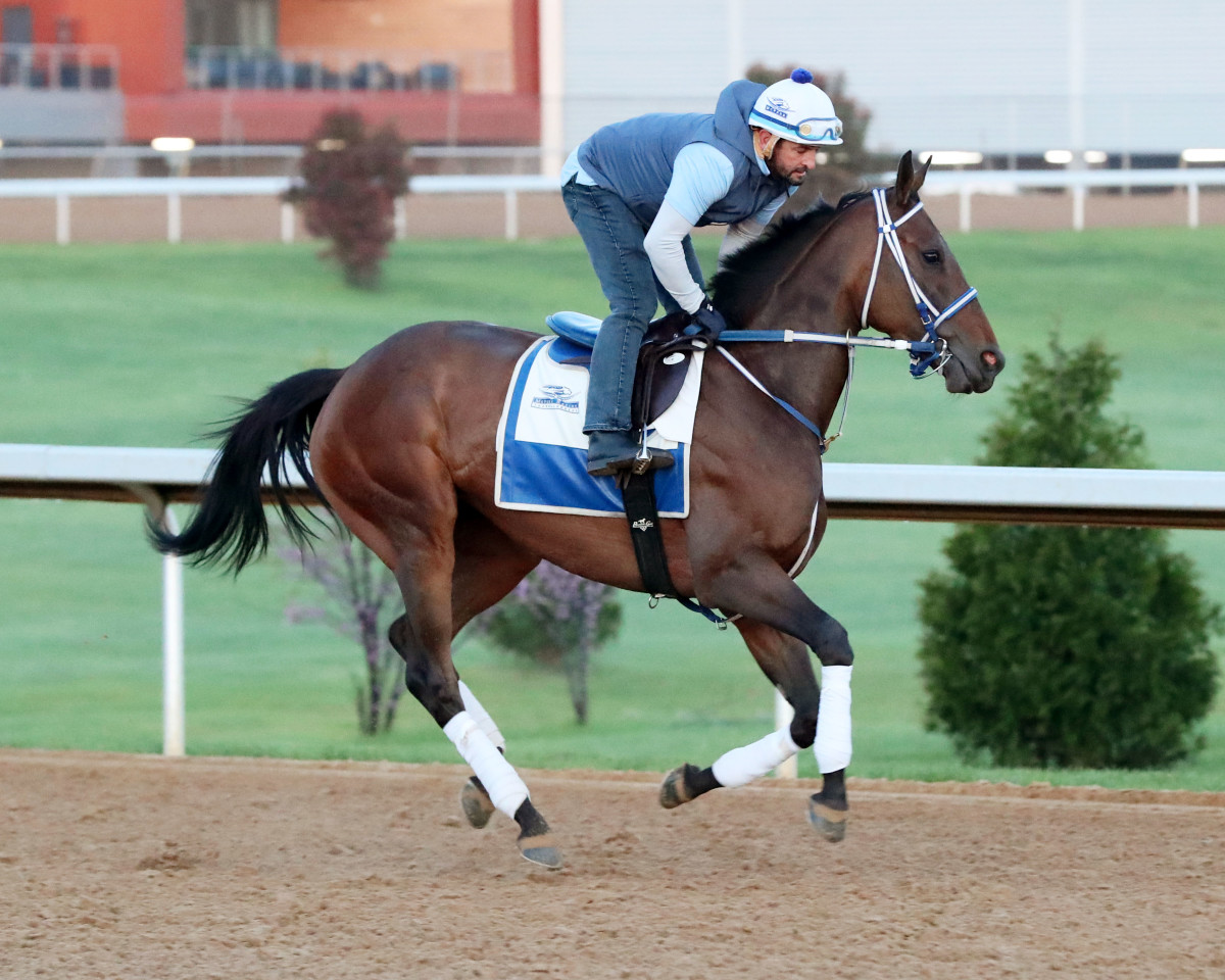 Weekend Lineup Presented By Sky Racing: Thorpedo Anna Back In Action ...