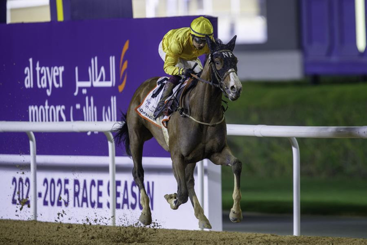 Queen Azteca, Pride of Scandinavia, Will Take On The Colts In UAE Derby ...
