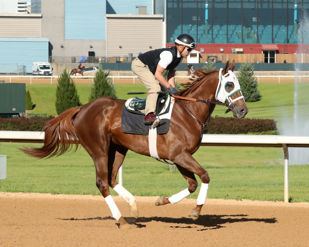 Lukas: American Promise To Lexington Stakes, Caldera Wheels Back In ...