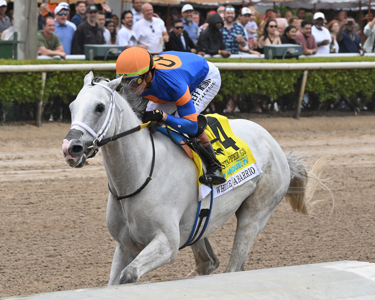'In A Different League': White Abarrio Rules In Gulfstream's ...