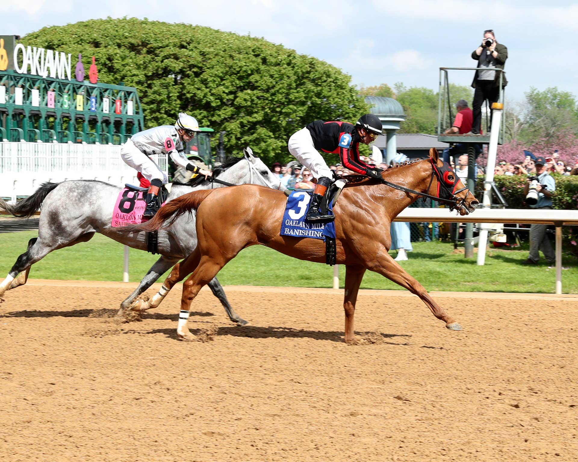 Banishing Looks To Bounce Back In Oaklawn's Ring The Bell - Paulick ...