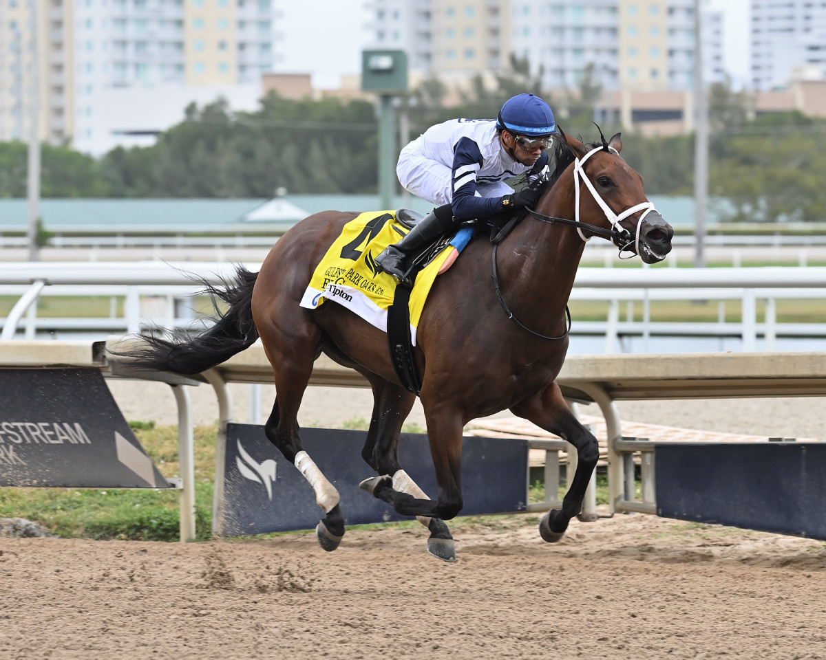 Five G Dominates Wire-to-Wire In Gulfstream Park Oaks, Secures Kentucky ...