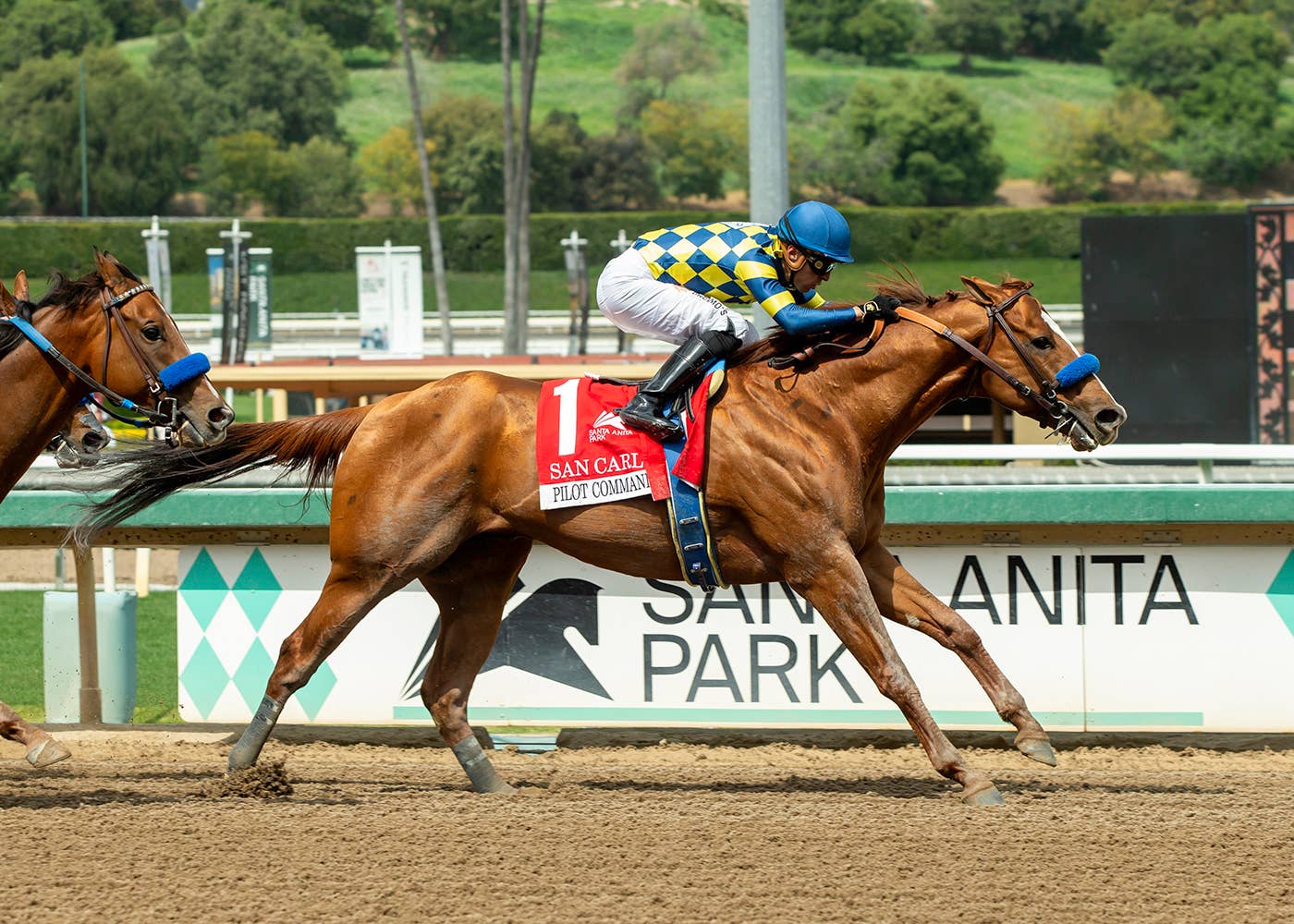 Pilot Commander Gets Clear In San Carlos For First Stakes Win - Paulick ...