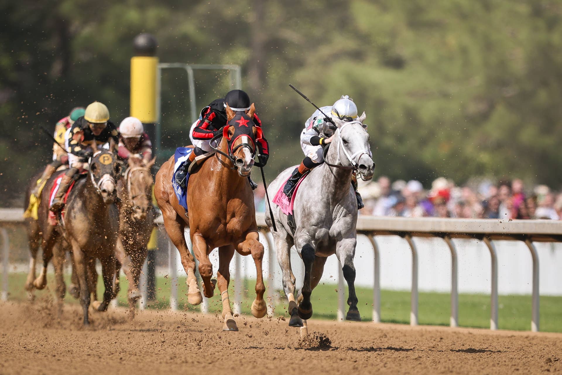 Banishing Upstages Saudi Crown In Oaklawn Mile - Paulick Report ...