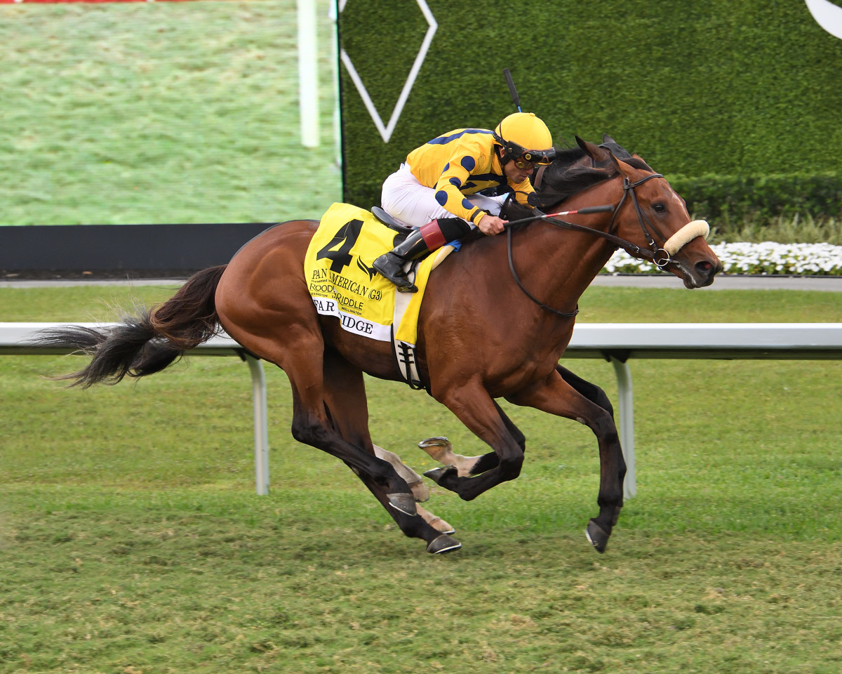 Far Bridge Prevails In Pan American Battle To Launch Comeback - Paulick ...