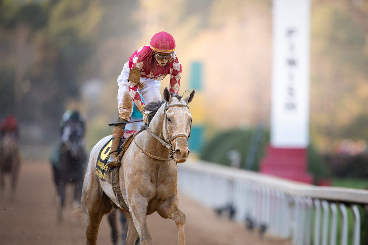 Arkansas Derby Winner Sandman, Runner-Up Publisher To Head To Churchill ...