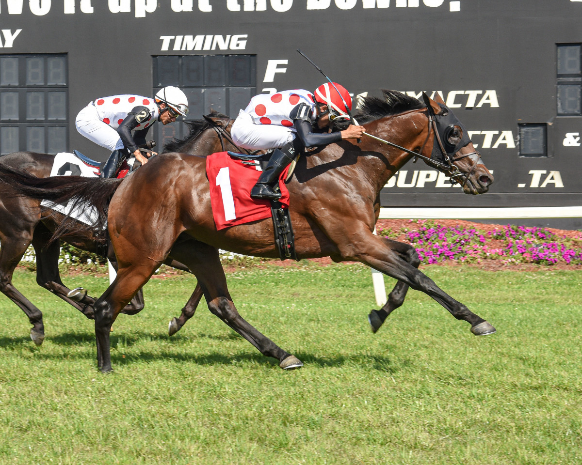 Florida Cup: Stakes Records Fall, Luis Saez Rides Three Winners At ...