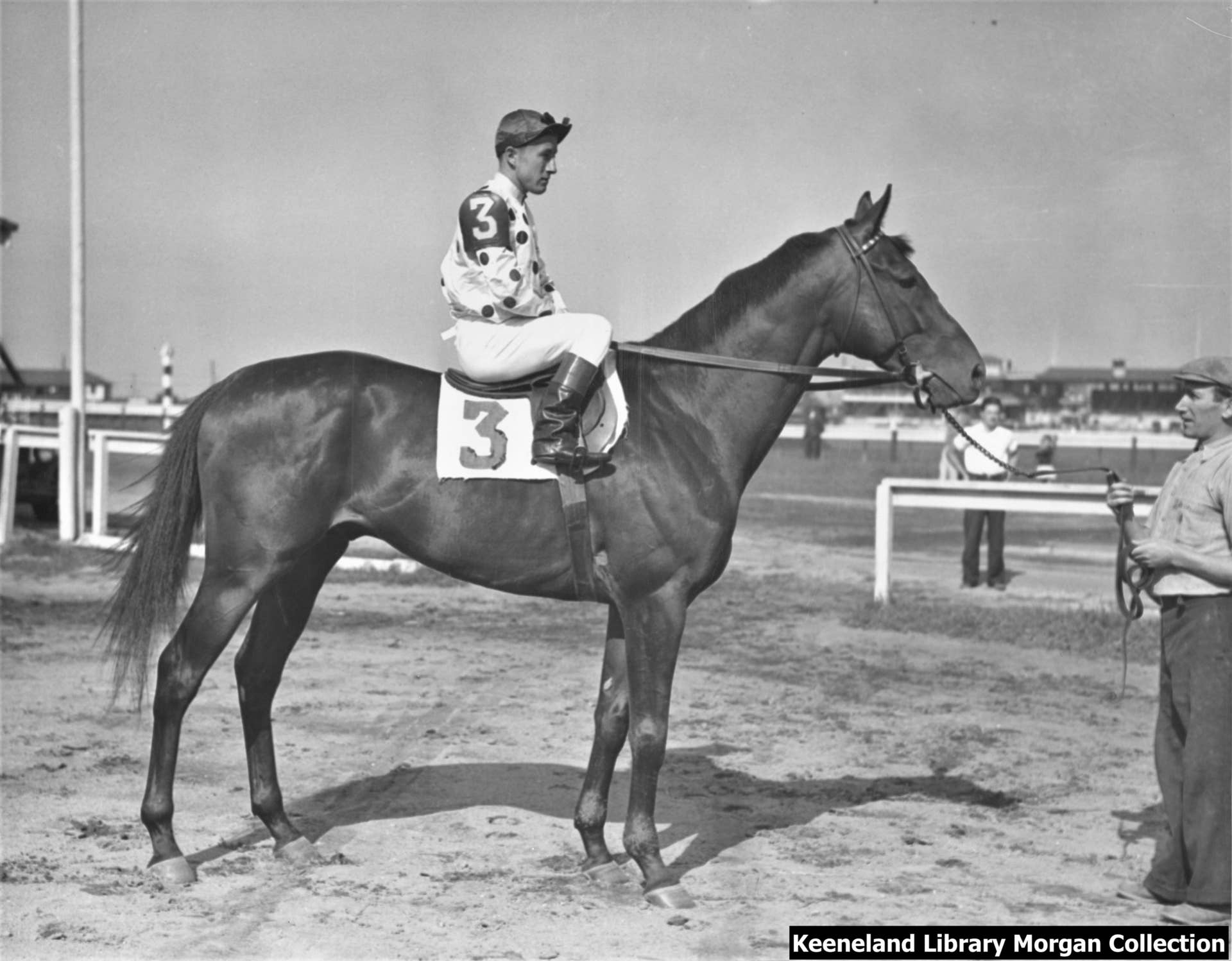 Lest We Forget: Granville, Gallant Fox's Other Champion Son - Paulick ...