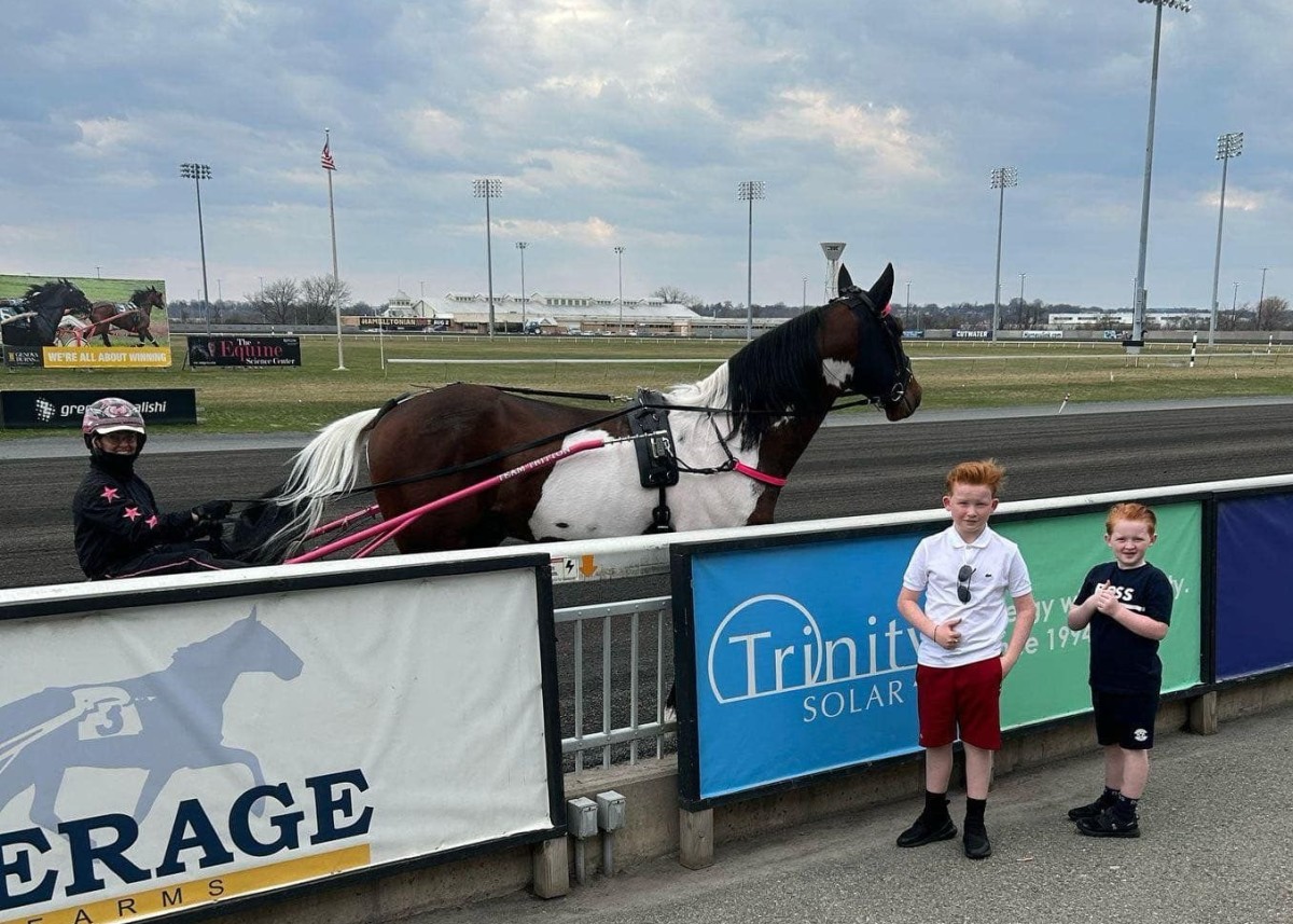 Horse Of A Different 'Colour': Flashy Standardbred Takes On Meadowlands ...