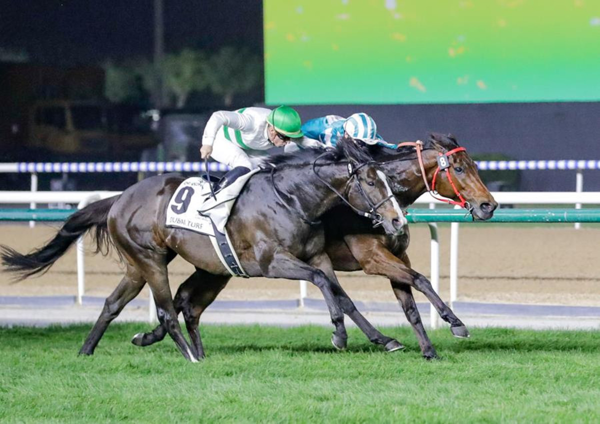 Win And You're In: Dubai Turf Winner Soul Rush Headlines Yasuda Kinen ...