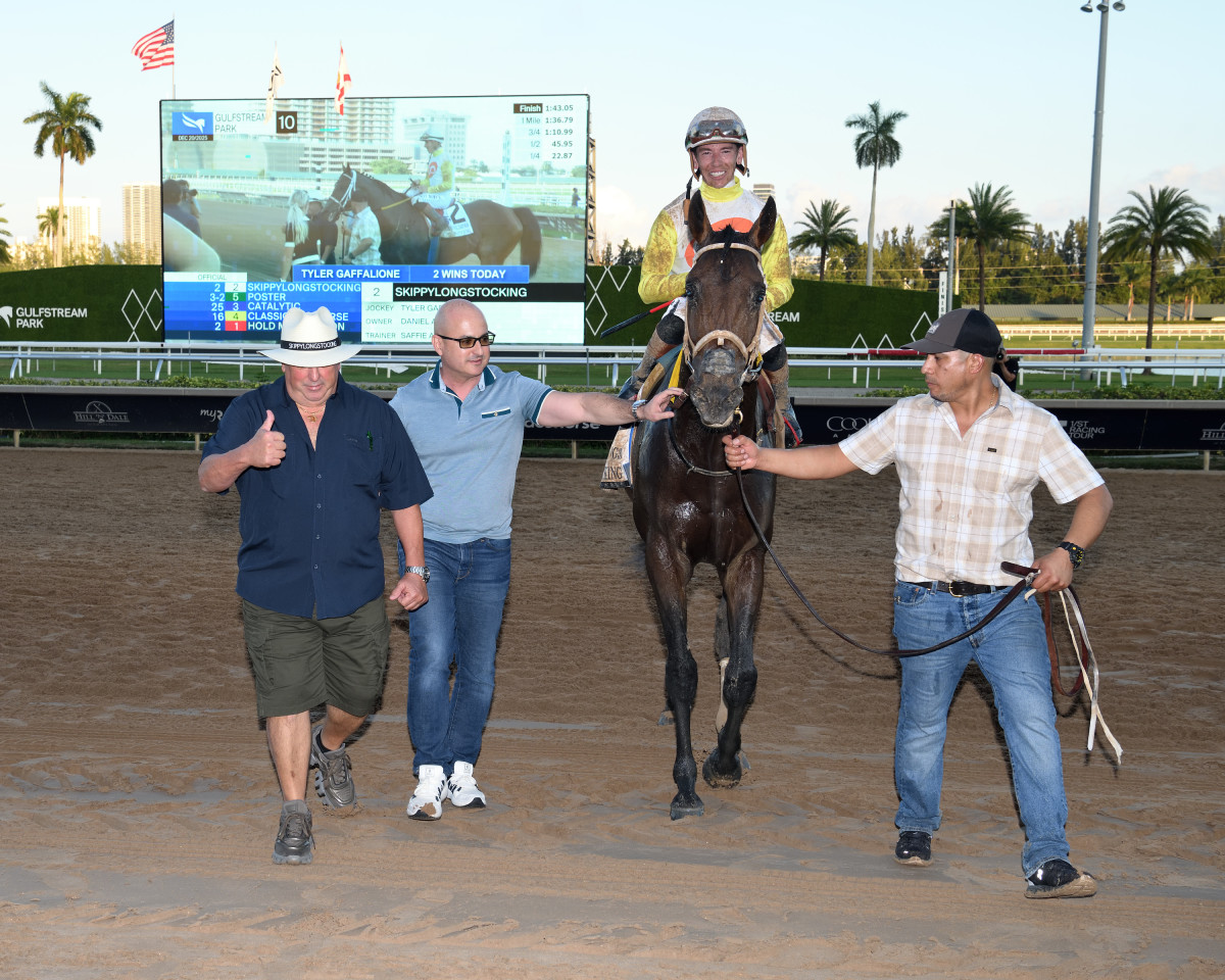 Saffie Joseph: Skippylongstocking Should Move Forward In Next Race ...