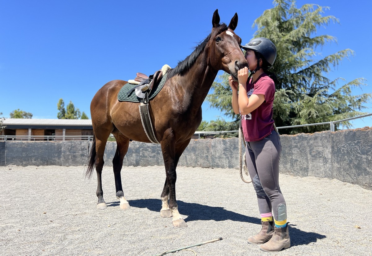 CARMA's 2025 Impact Report: Celebrating 17 Years Of Second Careers ...