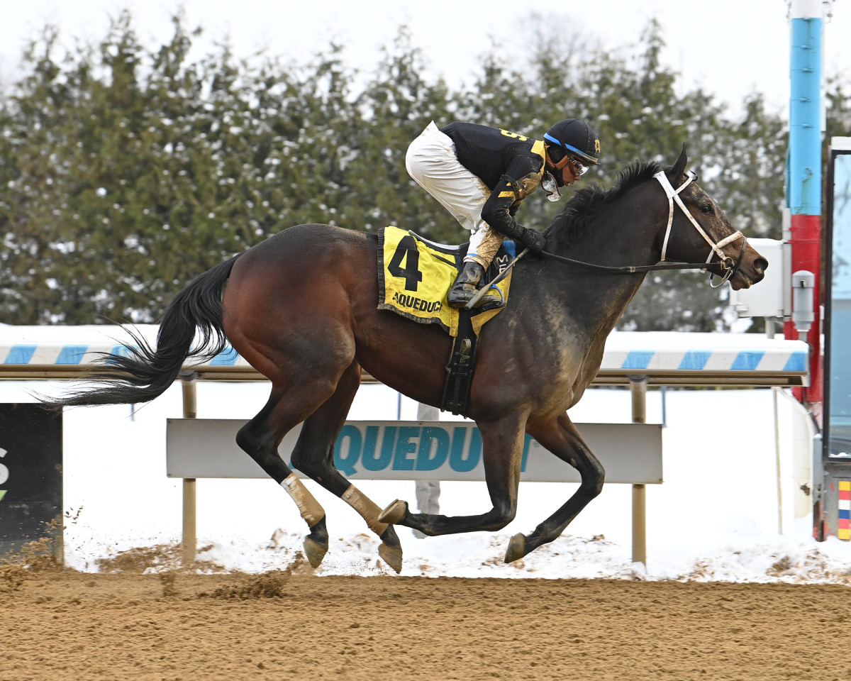 Full Screen Rules Aqueduct's Queens County - Paulick Report | Latest ...