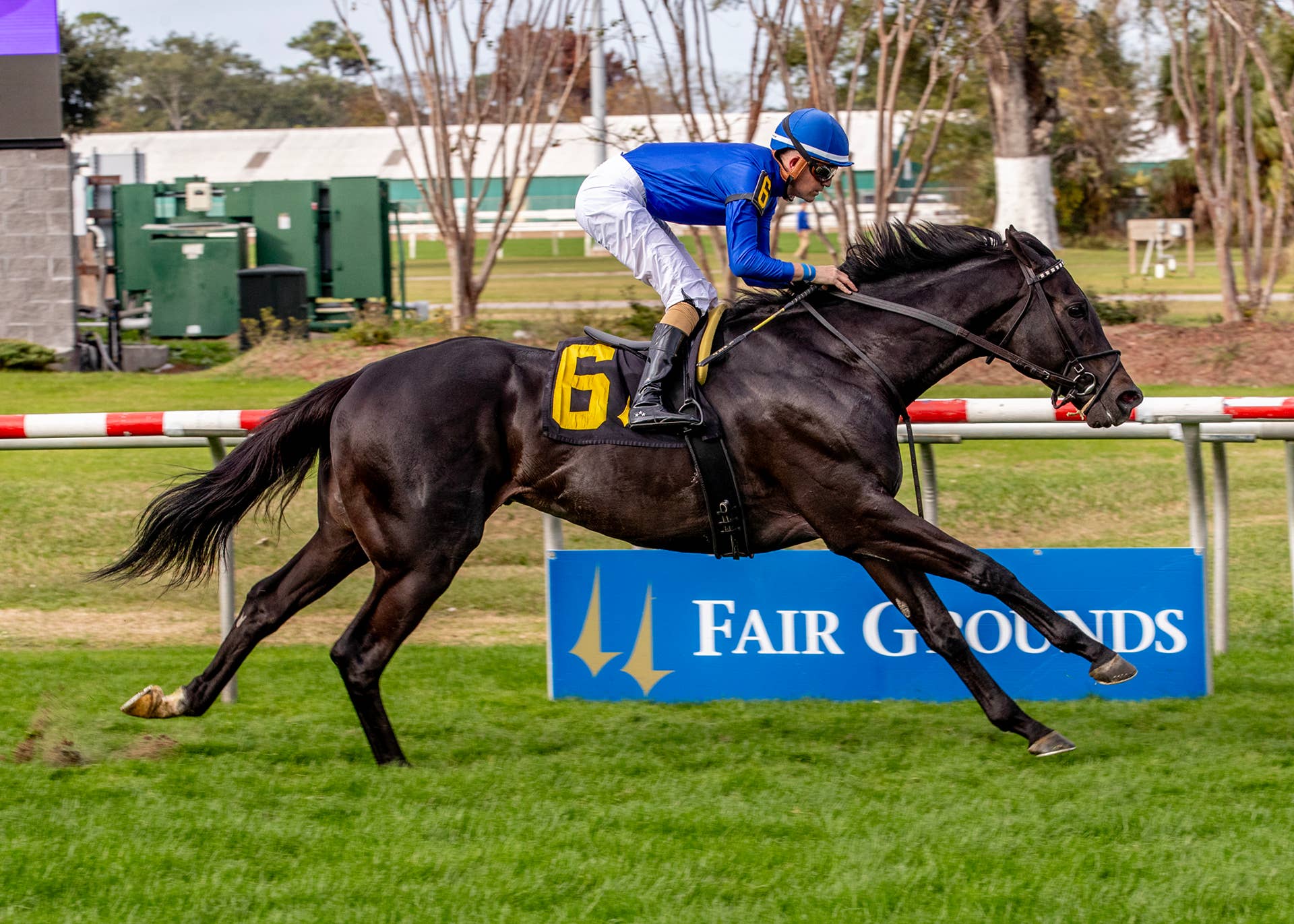 Montador Tops Mike Stidham-Trained Exacta In Woodchopper - Paulick ...