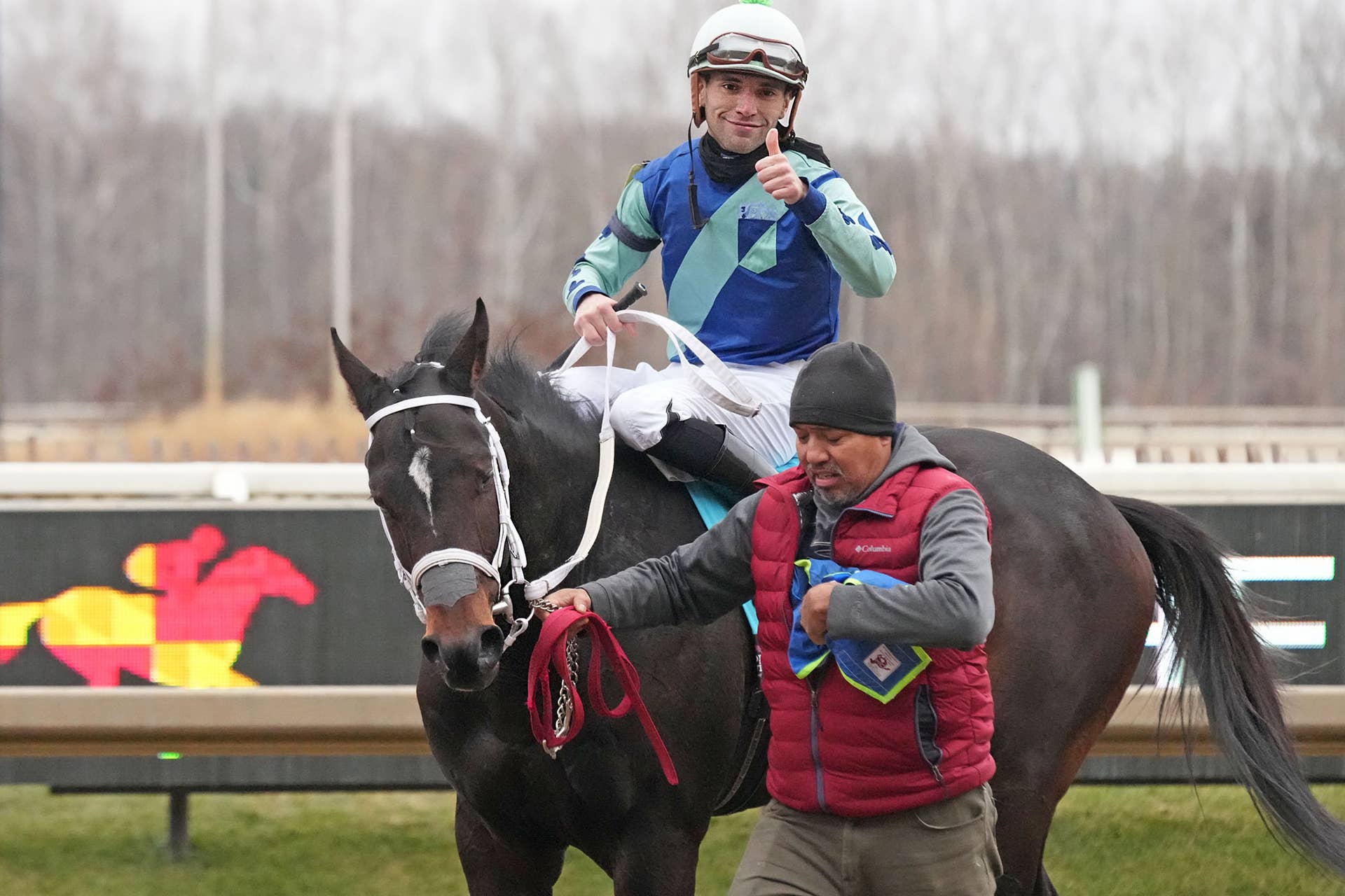 Laurel Park: Hollywood Import Stars In Heft Stakes, Peach Tie Wins Gin ...