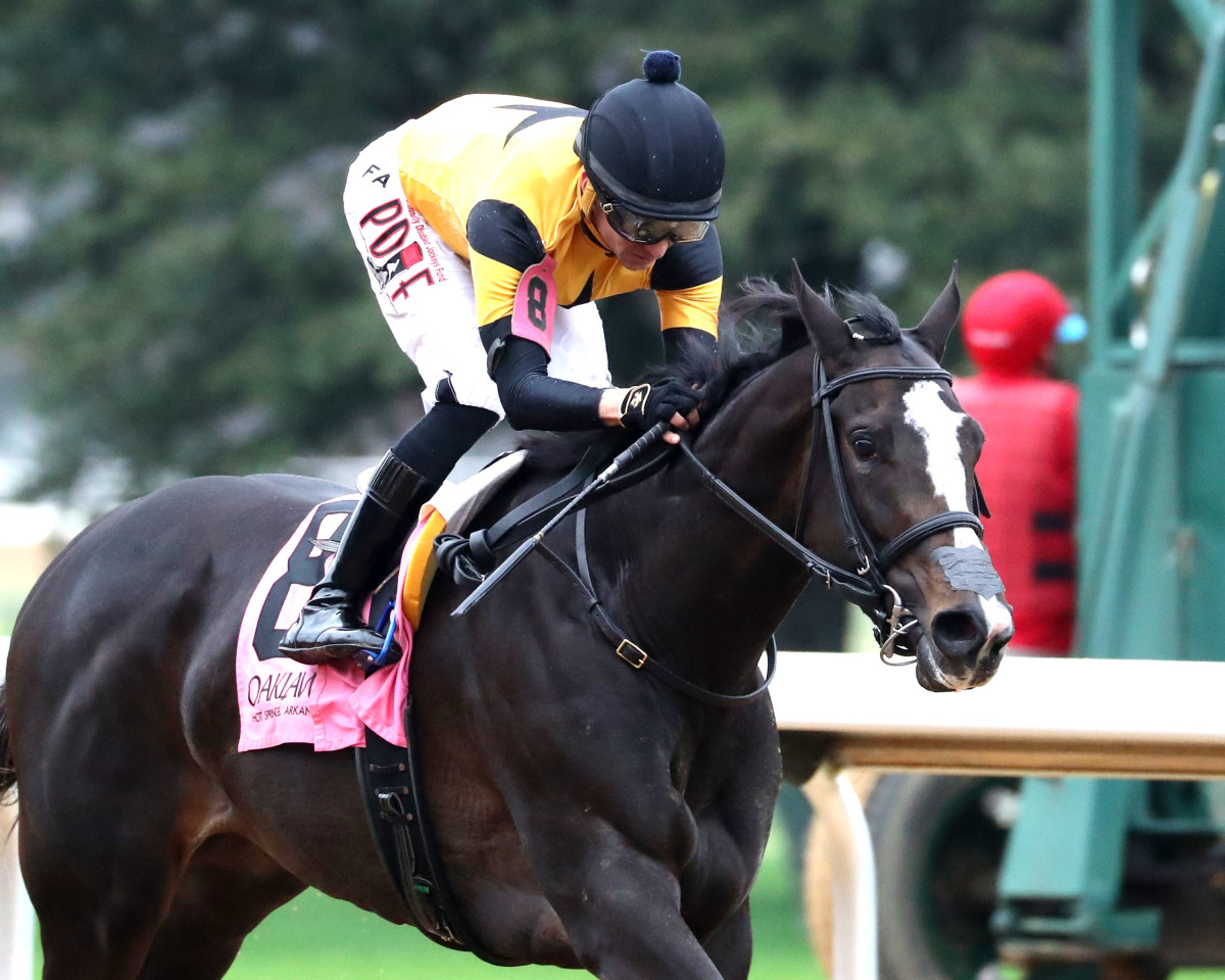 Counting Stars Doubles Up On Oaklawn Stakes Wins In Year's End ...