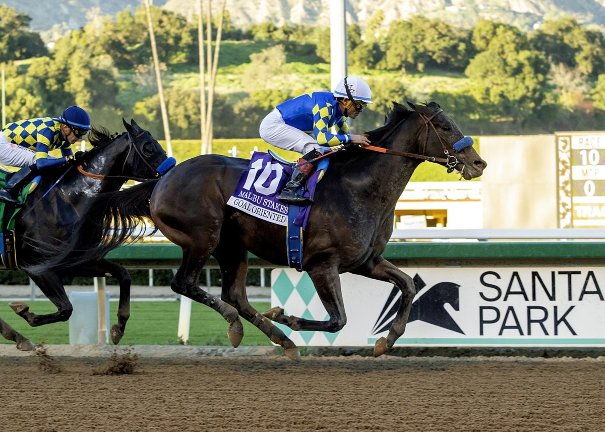 Goal Oriented Leads 1-2 Bob Baffert Malibu Finish Despite Scratch Of ...