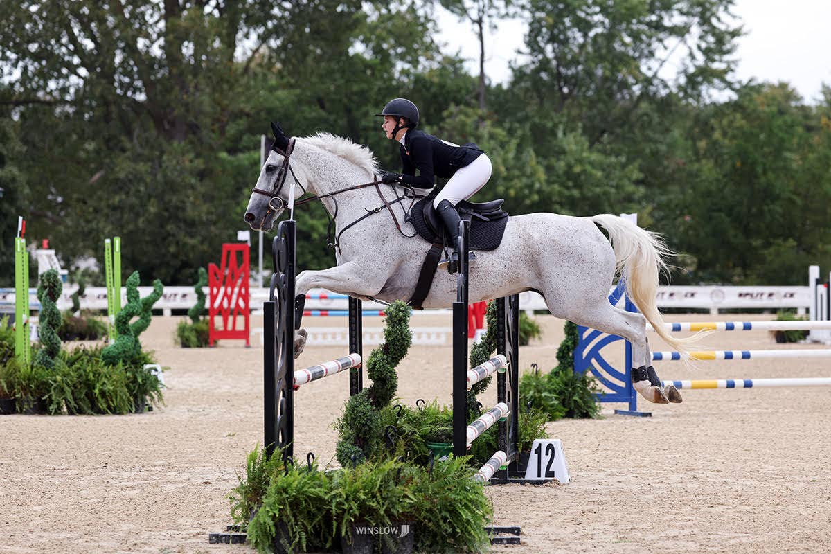 TAKE2: OTTB 'The Best Thing That Has Ever Happened' To Junior Rider ...