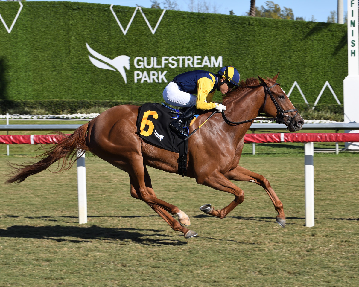 Sister Troienne Goes For Fifth Straight Win In Gulfstream’s Sweetest ...
