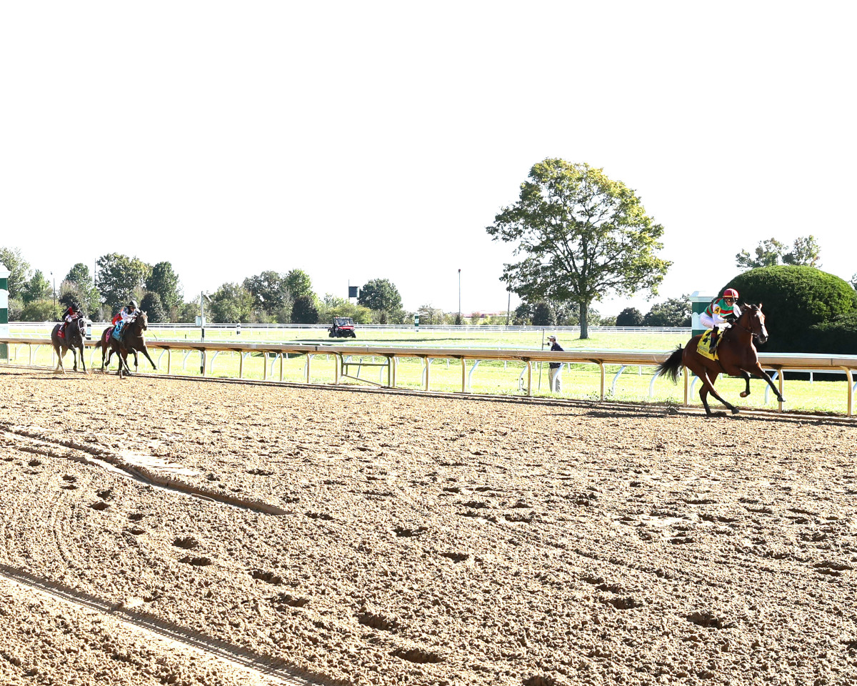 Atropa To Bid For Stakes Breakthrough, Kentucky Oaks Points In Fair ...