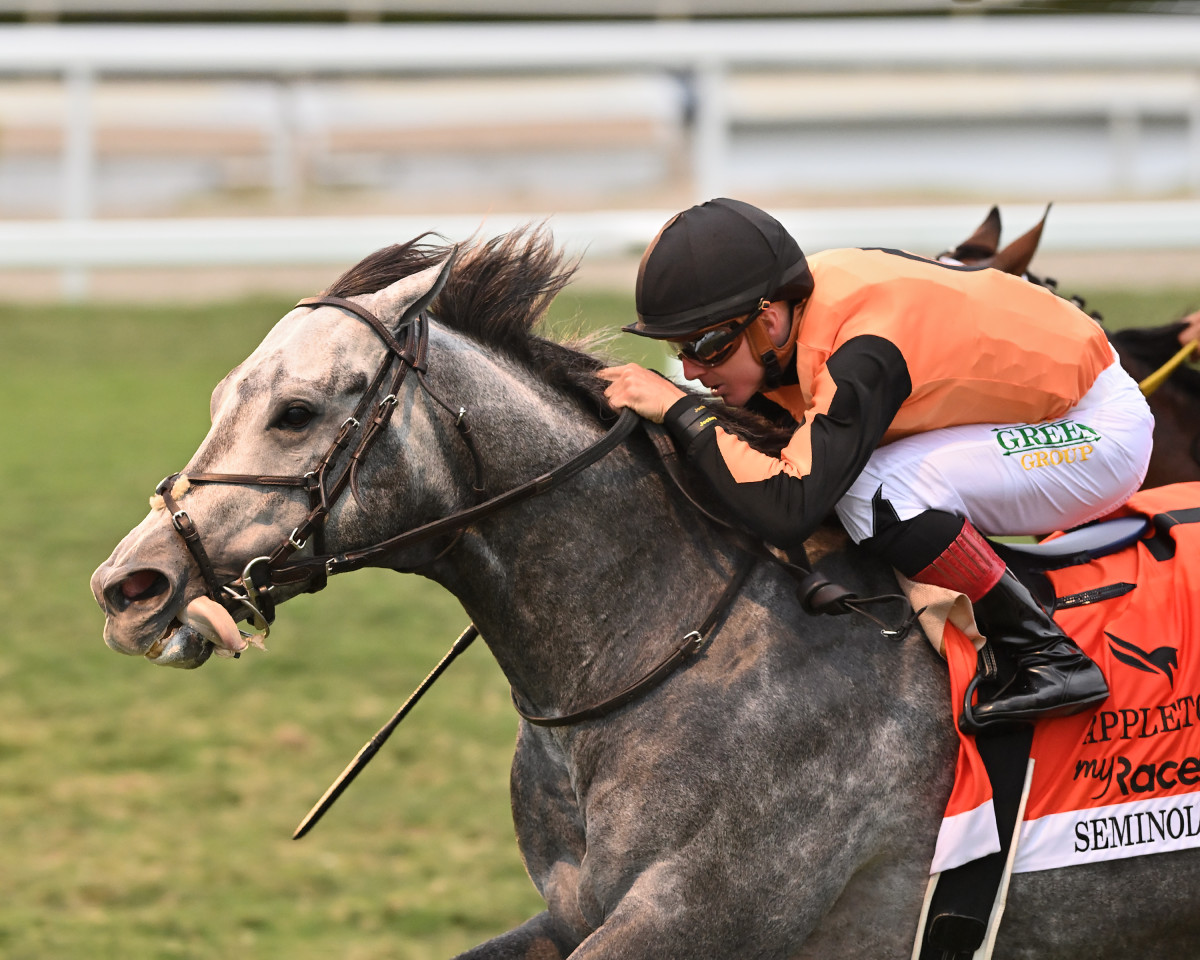 Jack Sisterson Trainee Seminole Chief Back Against Florida-Breds In ...