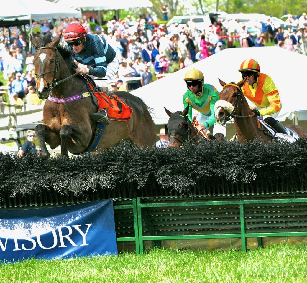 Steeplechaser Cool Jet Could Provide Owner Sean Clancy With A Different ...
