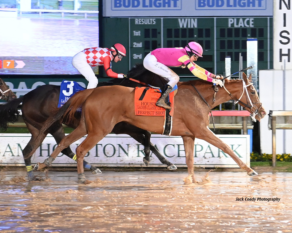 Perfect Shot Adds To Steve Asmussen's Houston Ladies Classic Win Streak ...