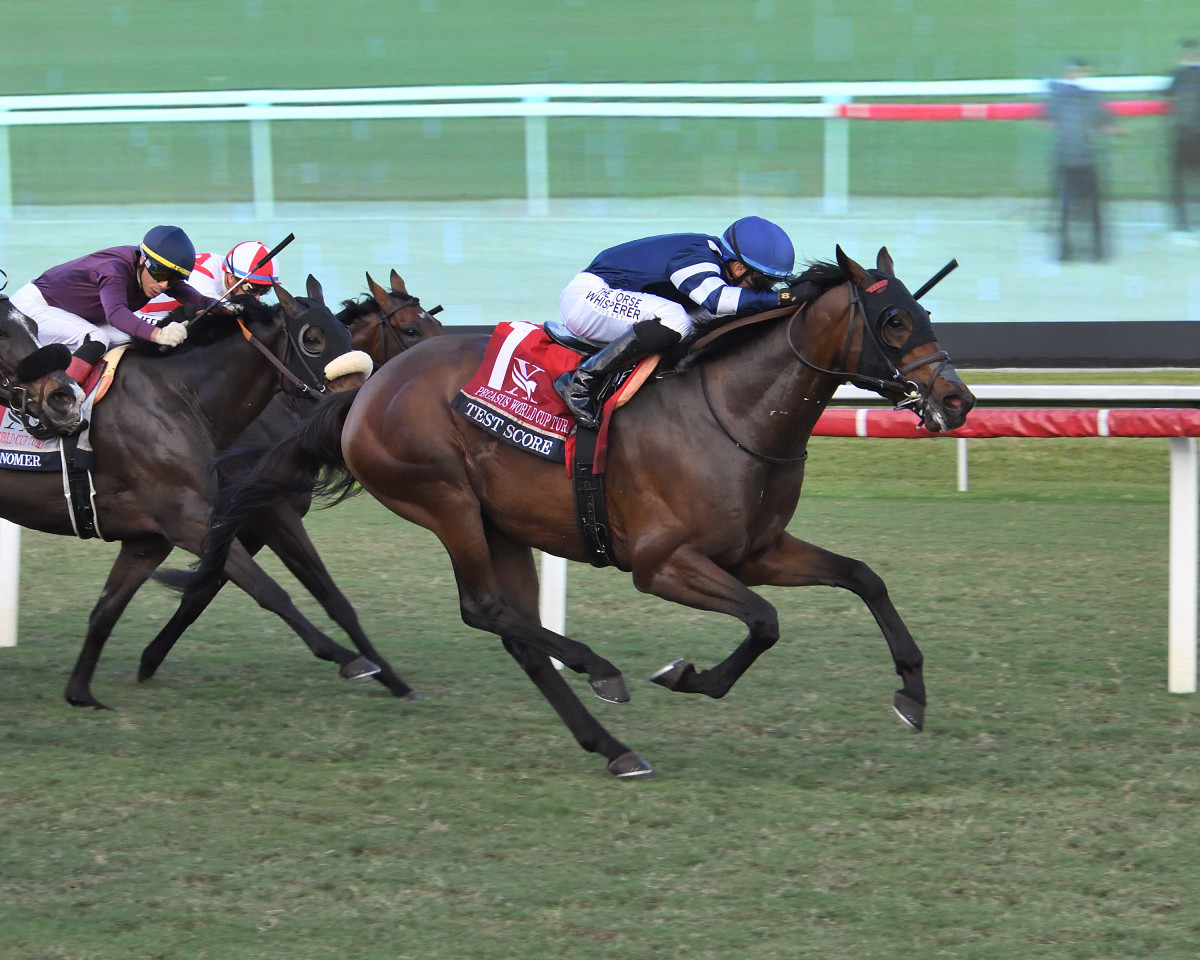 Bloodlines Presented By Walmac Farm: Test Score Gives Sire Lookin At ...