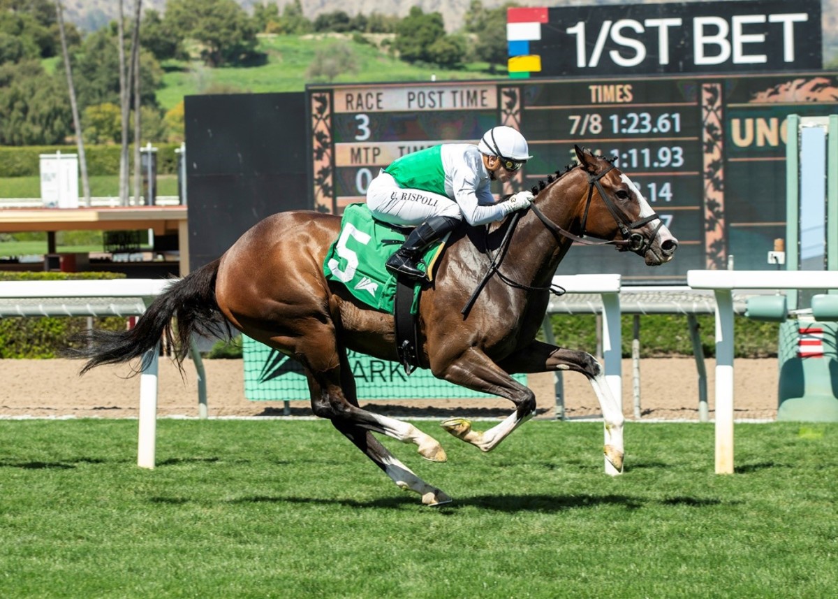 Will Then Shortens Up For Megahertz After American Oaks Near Miss ...