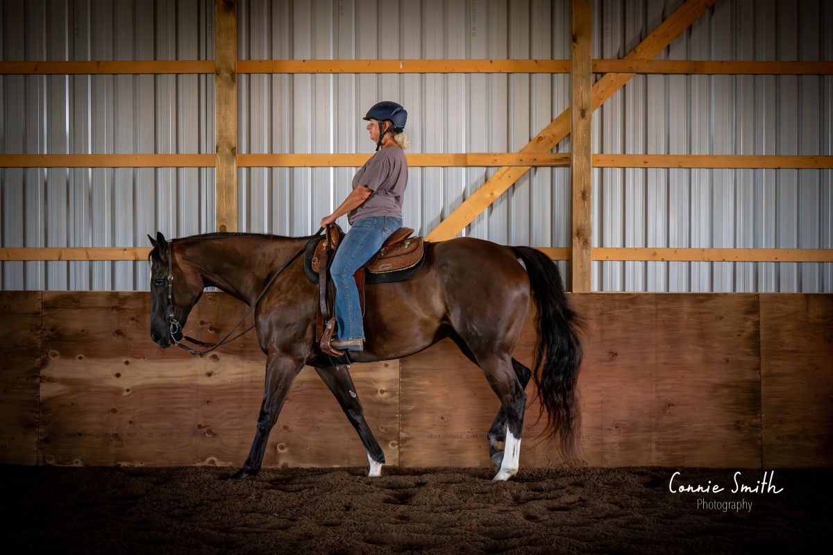 Edinburgh Castle: A Gentle Giant Finds His Place - Paulick Report ...