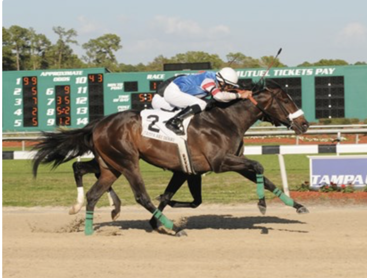 Kentucky Derby-Placed Musket Man Dies In Korea At Age 20 - Paulick ...