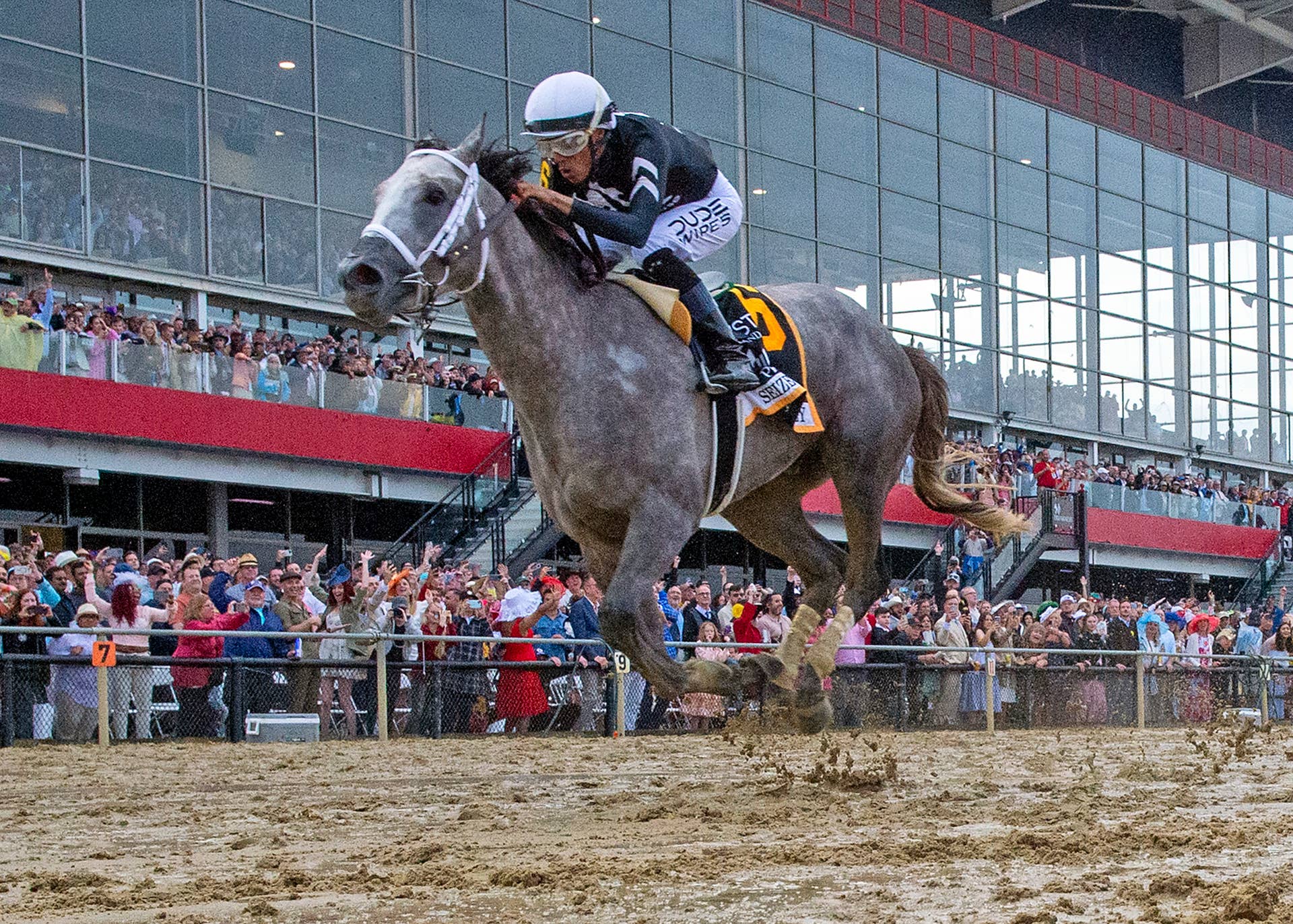 Bloodlines Presented By Walmac Farm: Preakness Winner Seize The Grey A ...