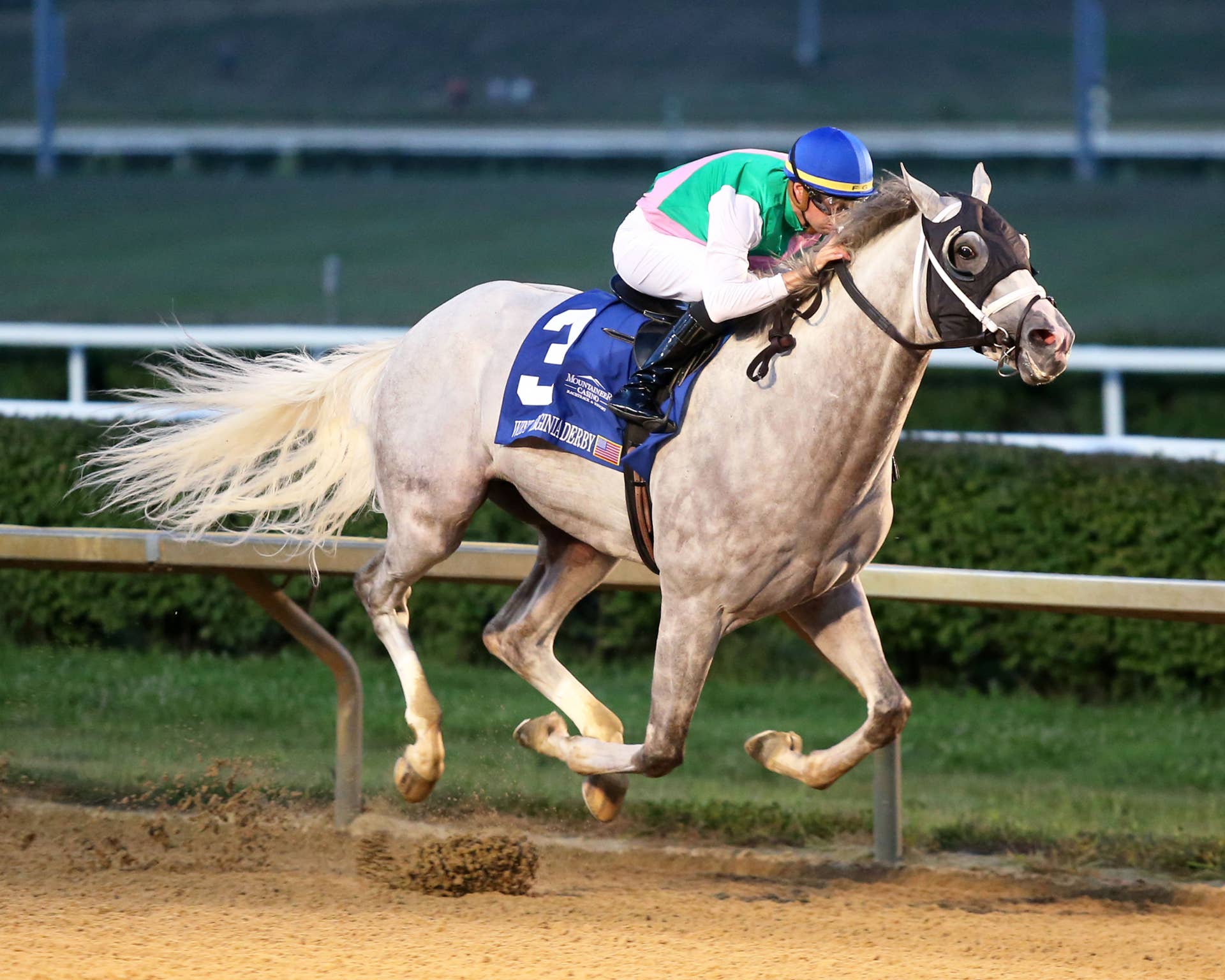 Graded Stakes Winners Dragoon Guard, Running Away Lead Virginia Derby ...