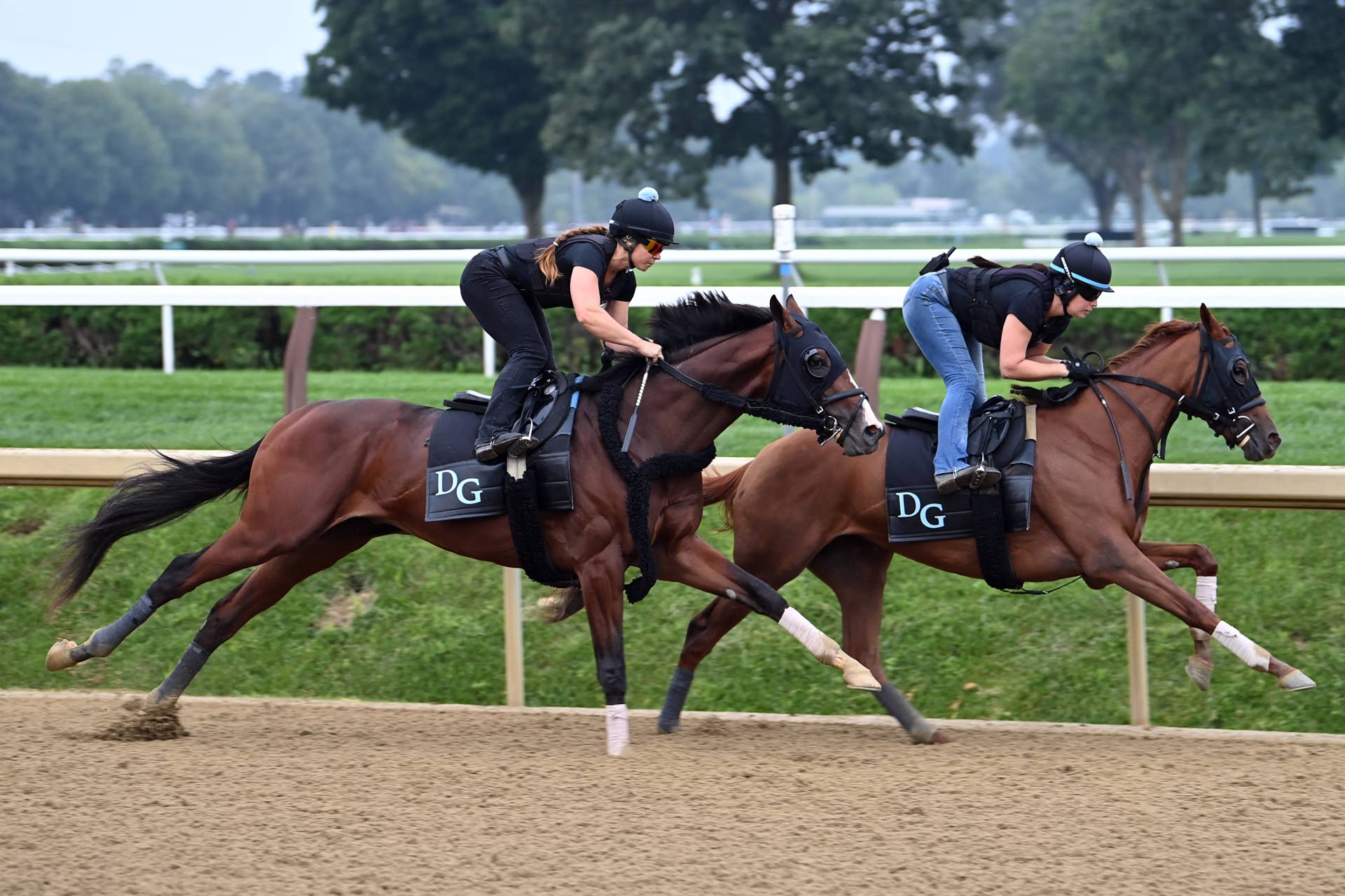Dornoch, Fierceness Among Travers Hopefuls To Breeze Saturday At ...