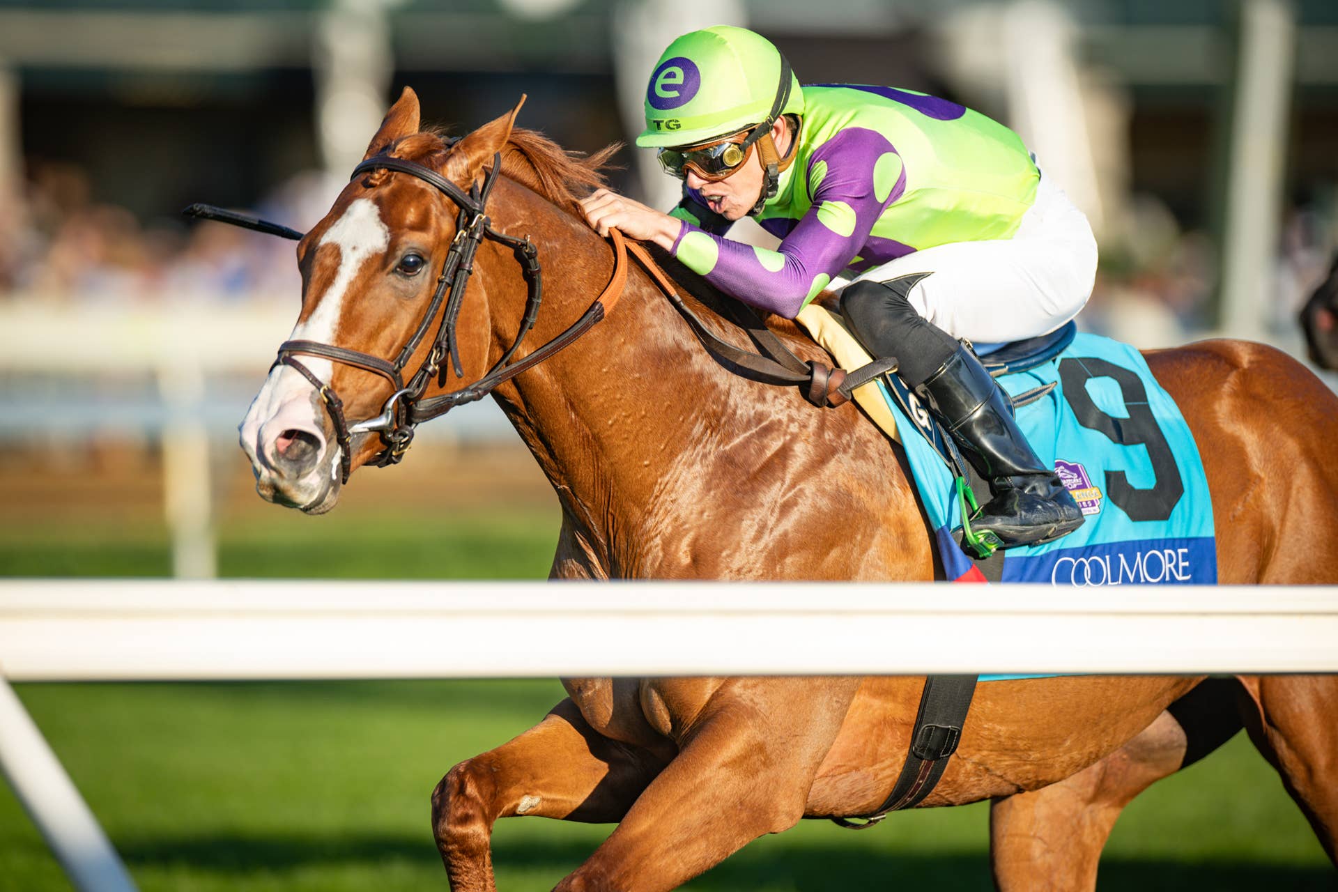 VIDEO: Carl Spackler, Raging Torrent Enter Rookie Seasons At Lane's End ...