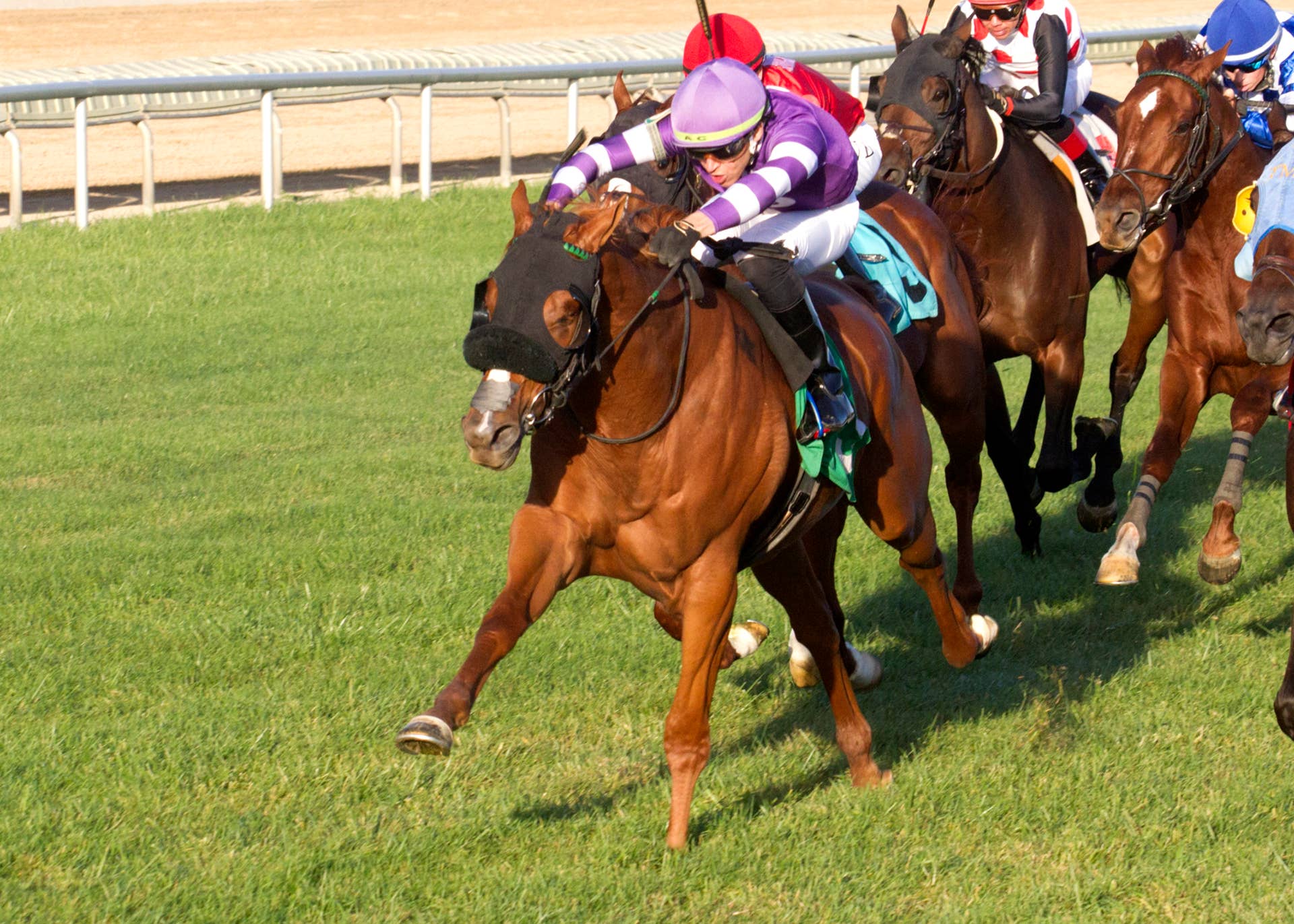 Gelding Named 'Ak Sar Ben Derby' Captures $150,000 Hawthorne Derby ...