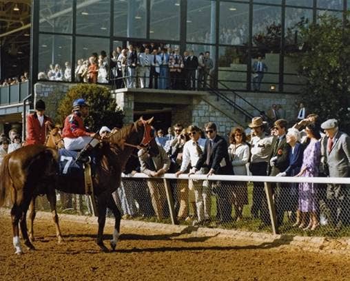 Bloodlines Presented By Walmac Farm: The Triumph And Tragedy Of Alydar ...