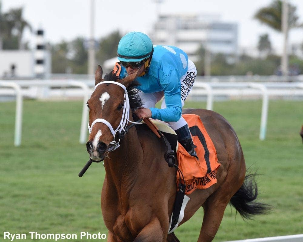 Former Claimer Starship Jubilee Seeking Sixth Graded Win In Suwanee ...