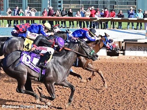 Heath Taylor 'Absolutely Devastated': Total Of 16 Quarter Horses Now ...