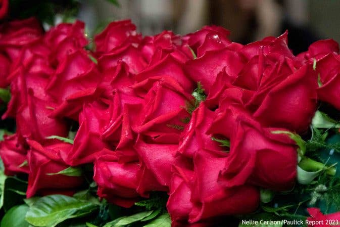 Who’s In, Who’s Out: An Early Look At Kentucky Derby 152 - Paulick Report