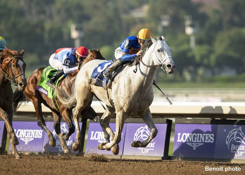 White Abarrio Sidelined By Illness, Will Miss John A. Nerud - Paulick ...