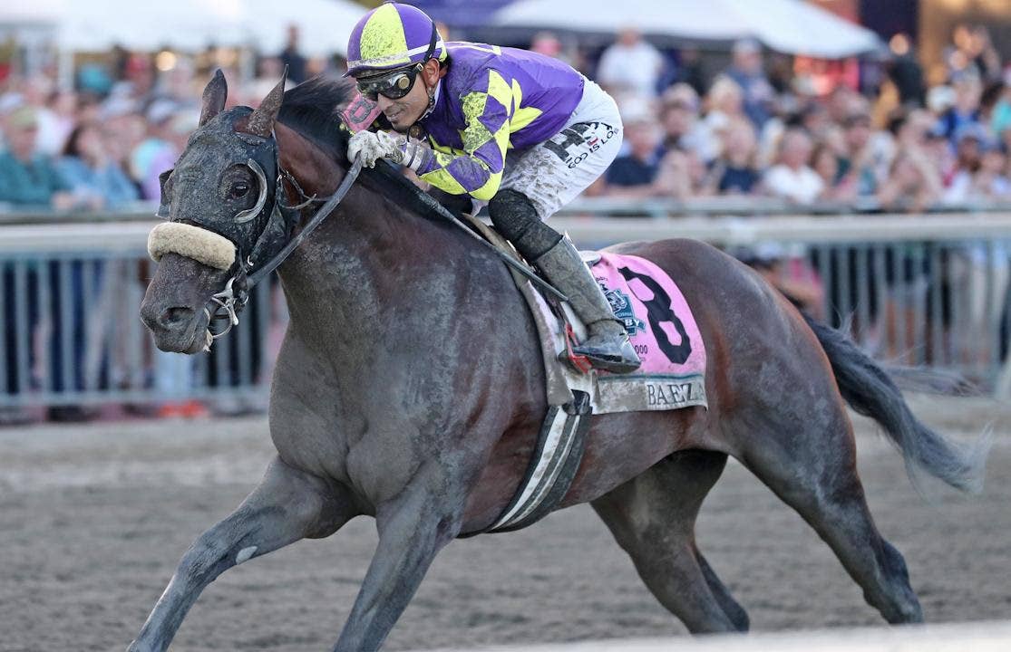 Bloodlines Presented By Walmac Farm: Puca's Place In The Broodmare ...
