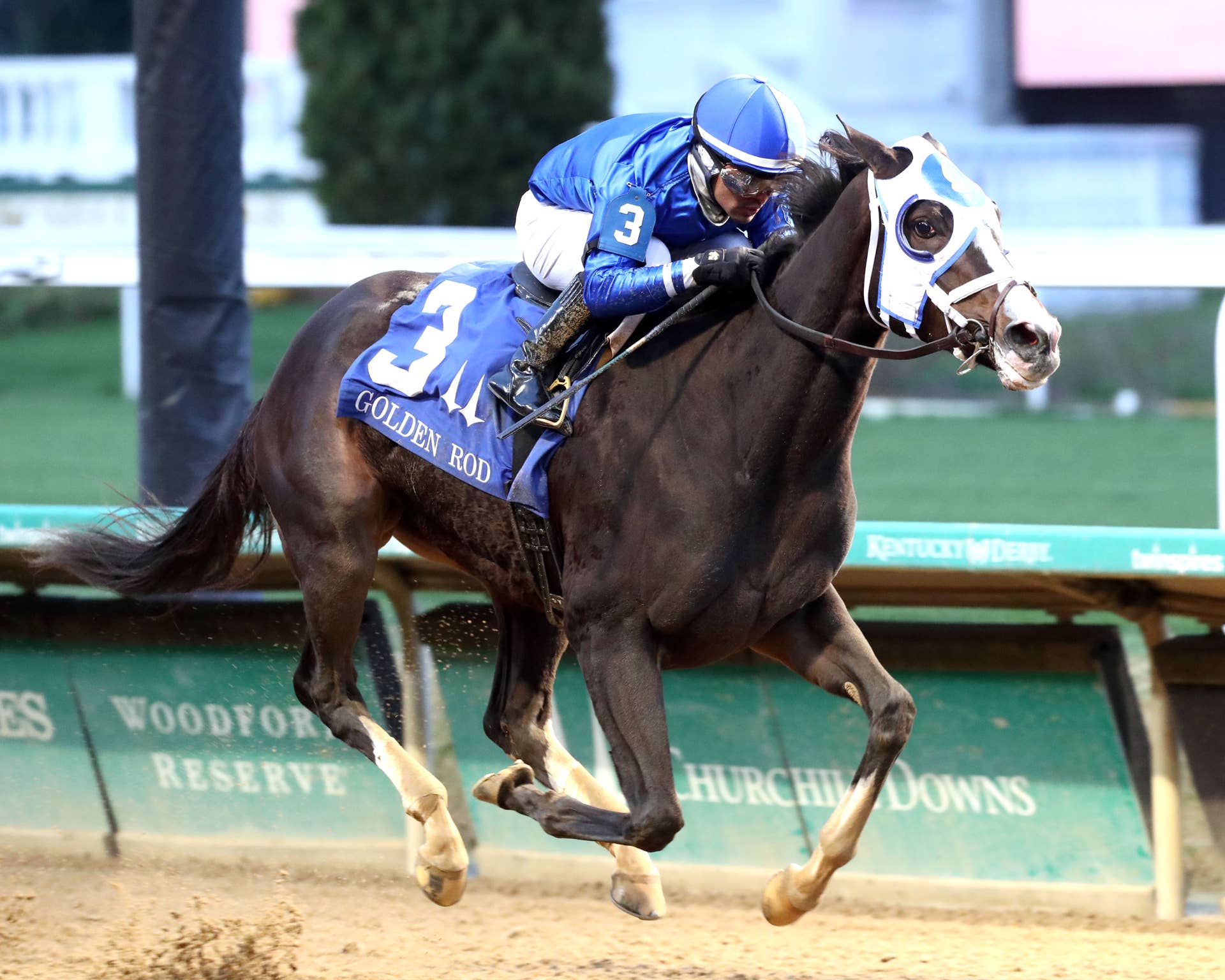 Unbeaten Good Cheer To Launch Sophomore Campaign In Rachel Alexandra ...